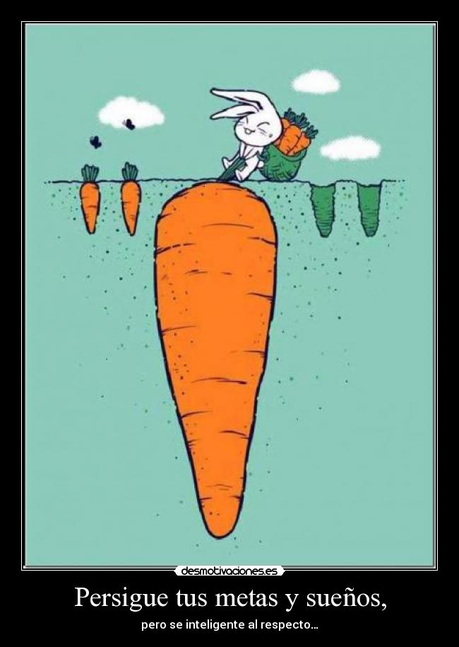 Persigue tus metas y sueños, | Desmotivaciones